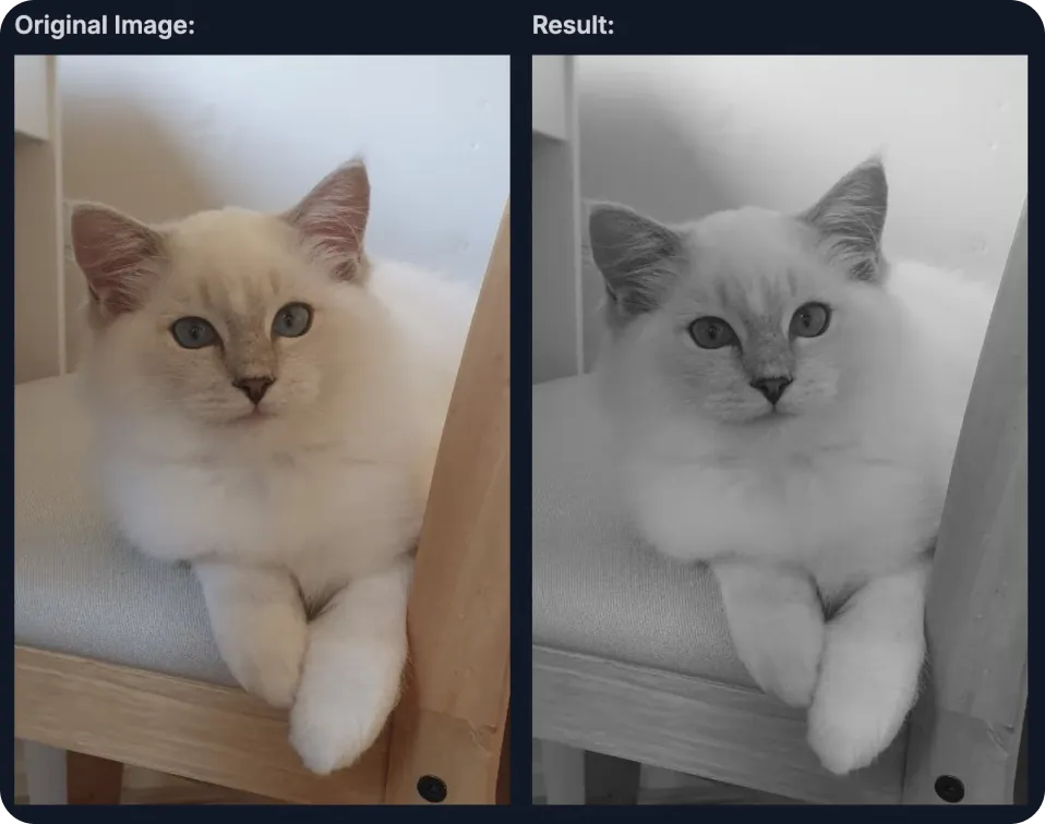 Using Albumentations augmentations to diversify your data